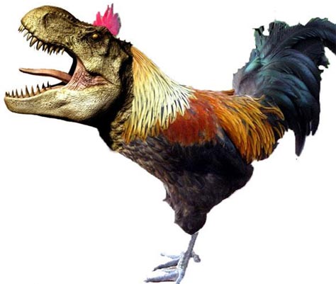 Dinosaur Facts: 29 Facts about Dinosaurs ←FACTSlides→