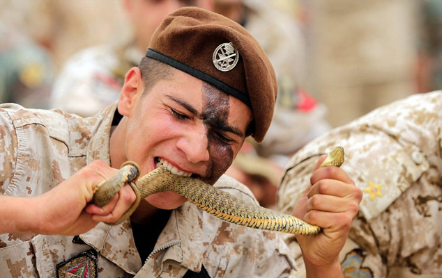 Snake Facts: 38 Facts about Snakes ←FACTSlides→