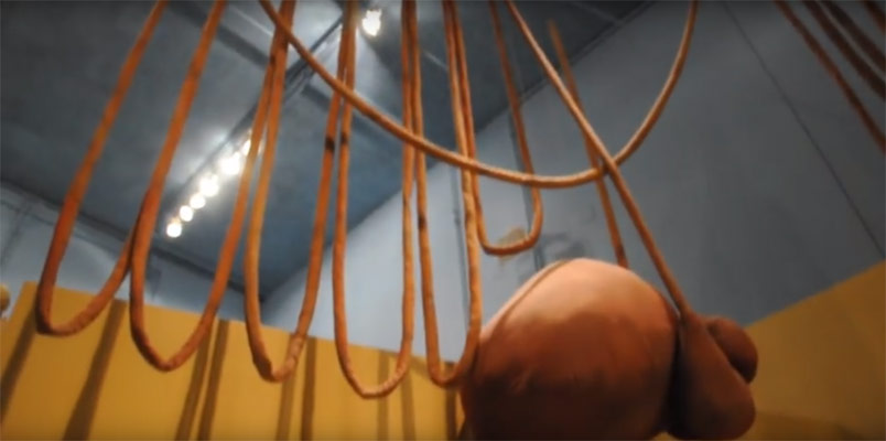 Giraffe Facts: 29 Facts about Giraffes ←FACTSlides→