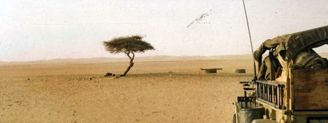 Desert Facts: 21 Facts about The Desert ←FACTSlides→